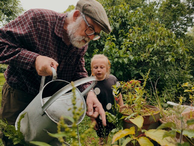 Summer Activities for Seniors Wanting to Stay Active and Social - Twin ...